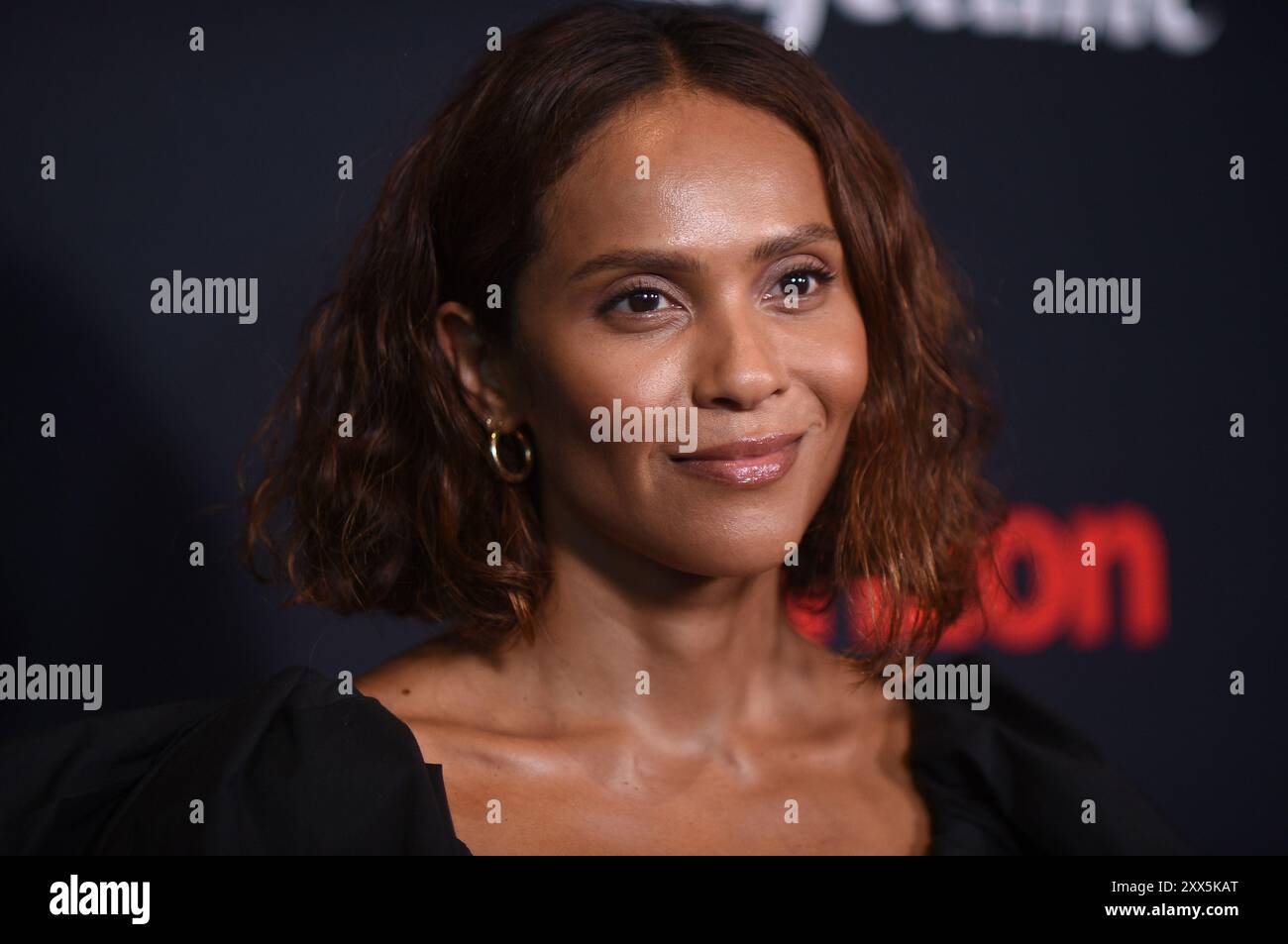 Lesley-Ann Brandt seen at "Terry McMillan Presents: Forever" at the ...
