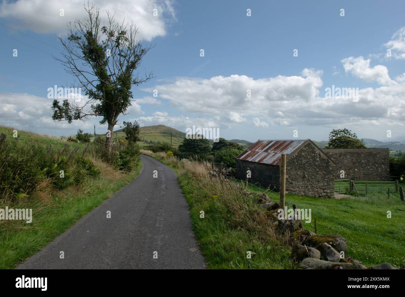 Country road, Legananny, County Down, Northern Ireland Stock Photo - Alamy
