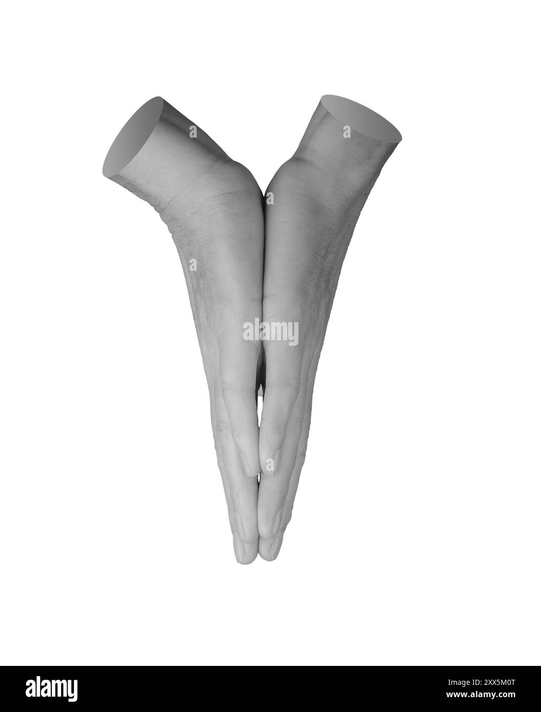 Two hands joined together, isolated symbol on white background Stock ...