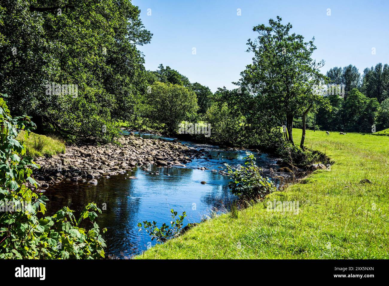 The River Hodder flows through Dunsop Bridge Stock Photo - Alamy