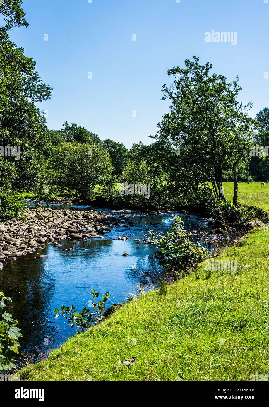 The River Hodder flows through Dunsop Bridge Stock Photo - Alamy