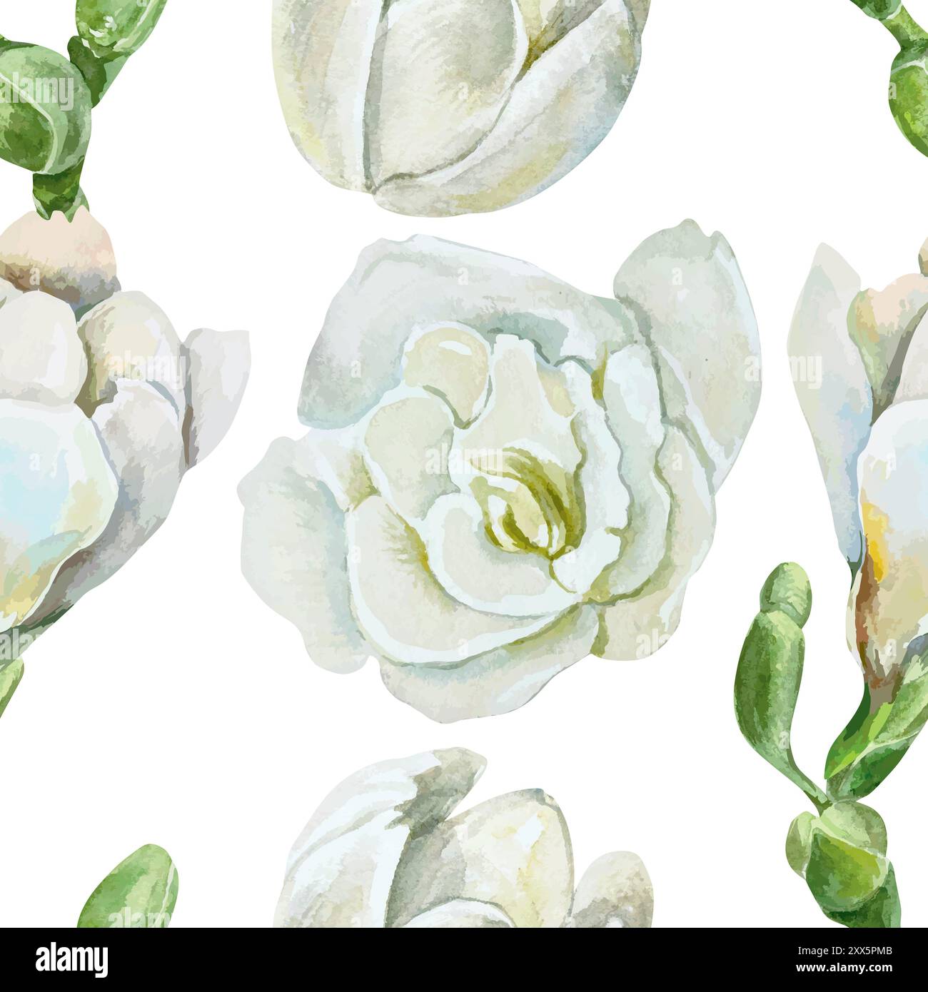 White freesia flowers watercolor seamless pattern. Vector illustration ...