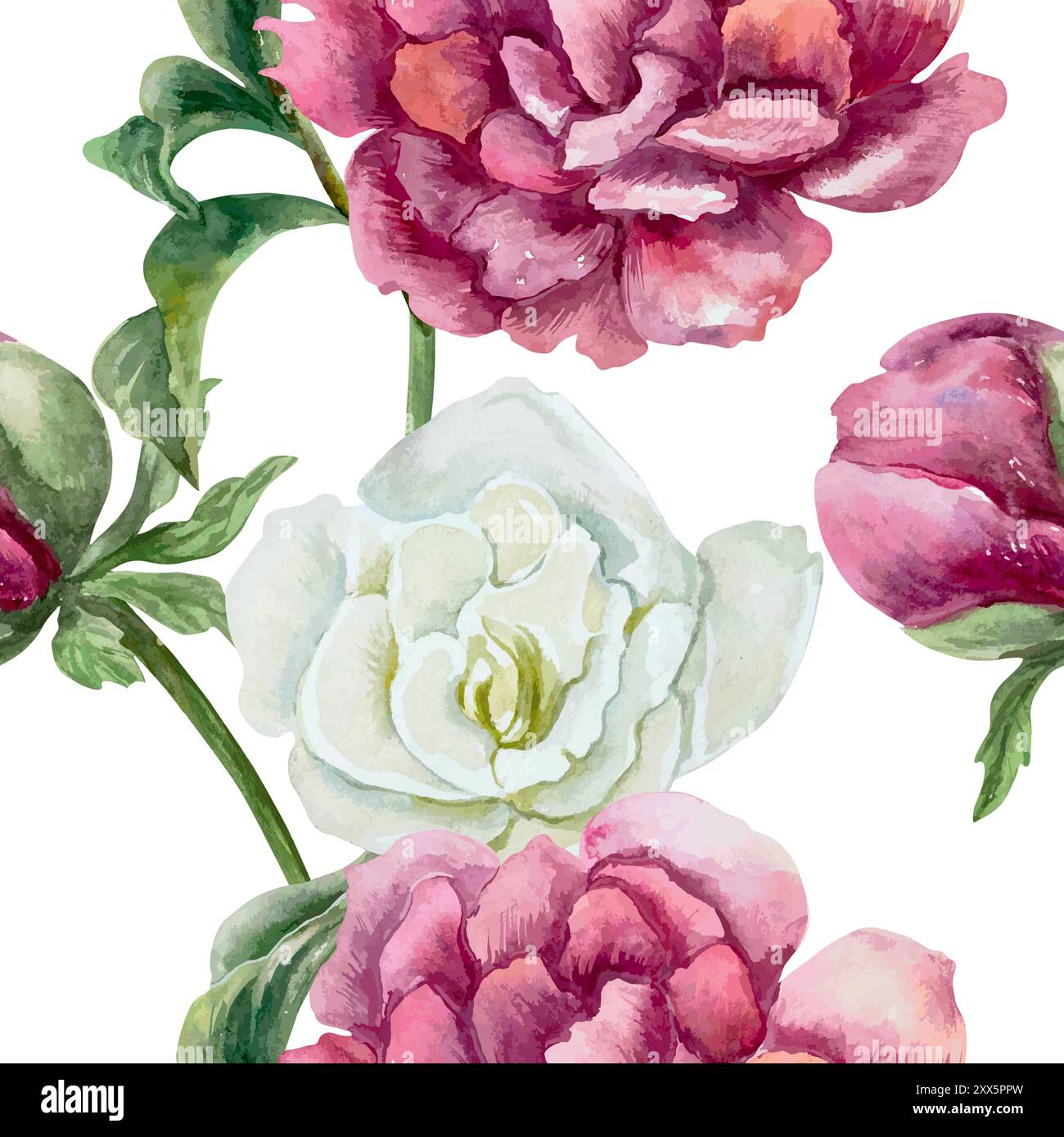 Peonies watercolor seamless pattern. Hand drawn vector illustration of ...