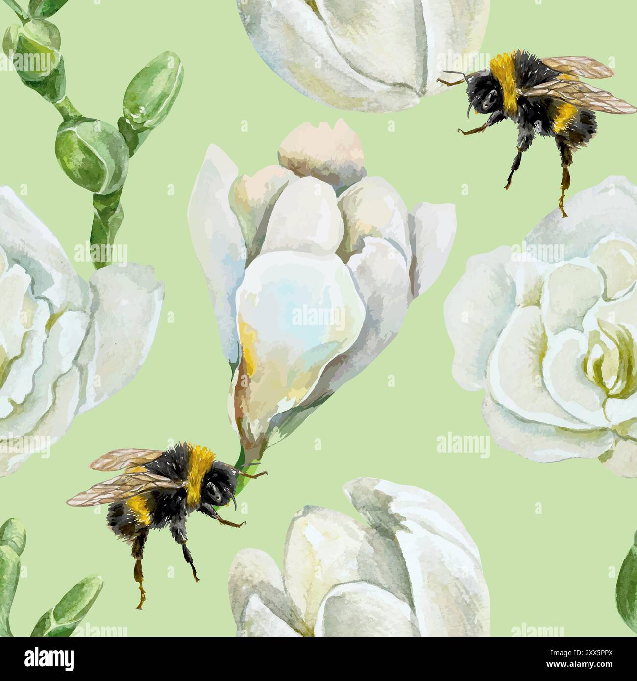 White freesia flowers, bumblebee. Watercolor seamless pattern. Vector ...