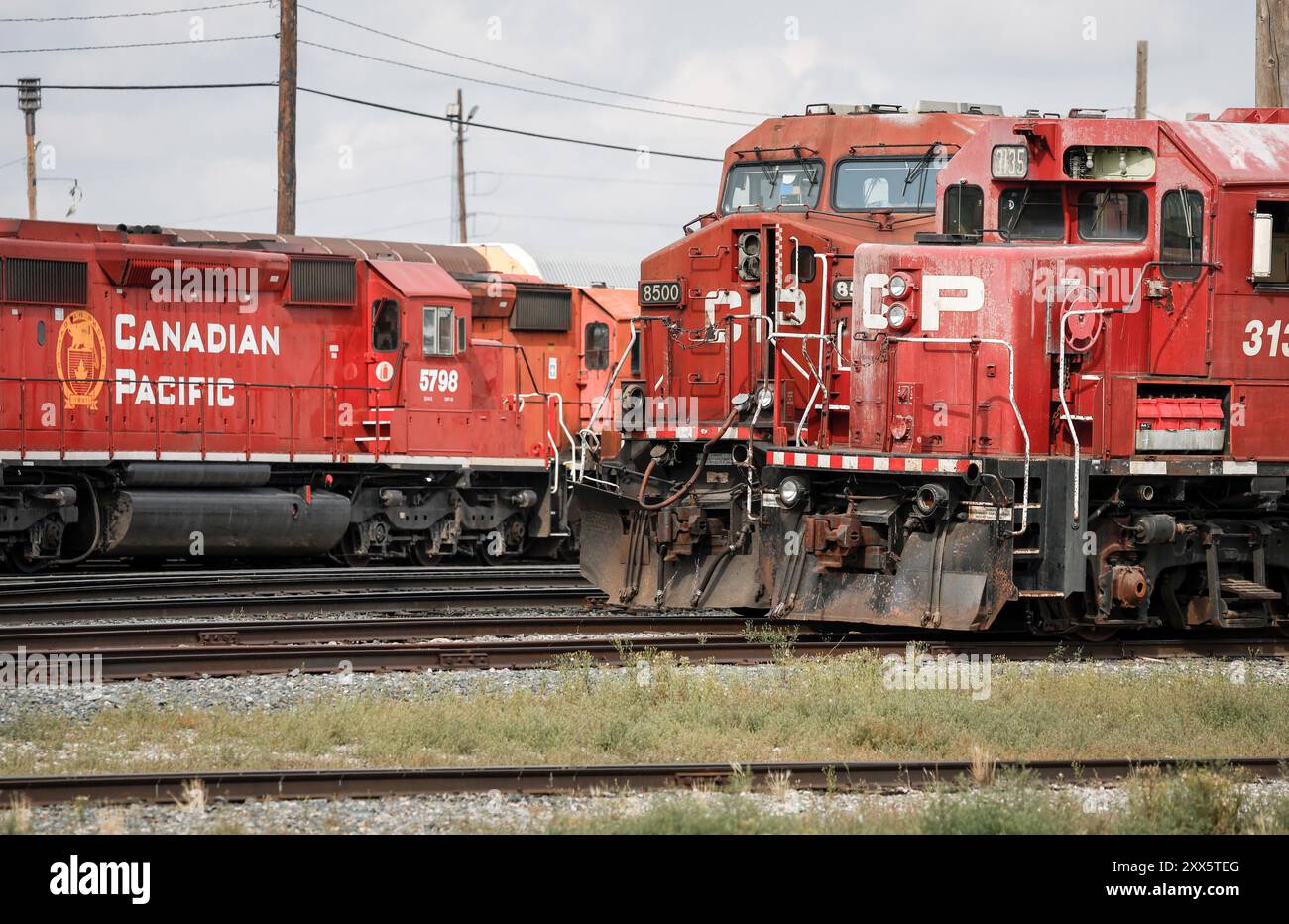 Calgary, Canada. 22nd Aug, 2024. Locomotives sit idle at the CPKC ...