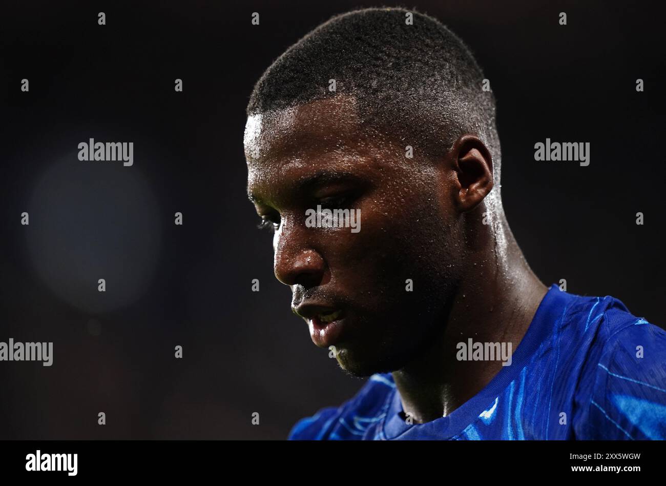Football moises caicedo 2024 hi-res stock photography and images - Alamy