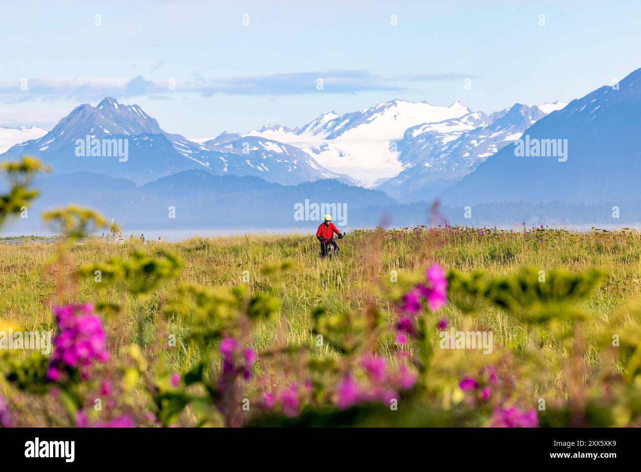 Views of Beluga Slough and Kachemak Bay's landscape - Homer, Alaska ...