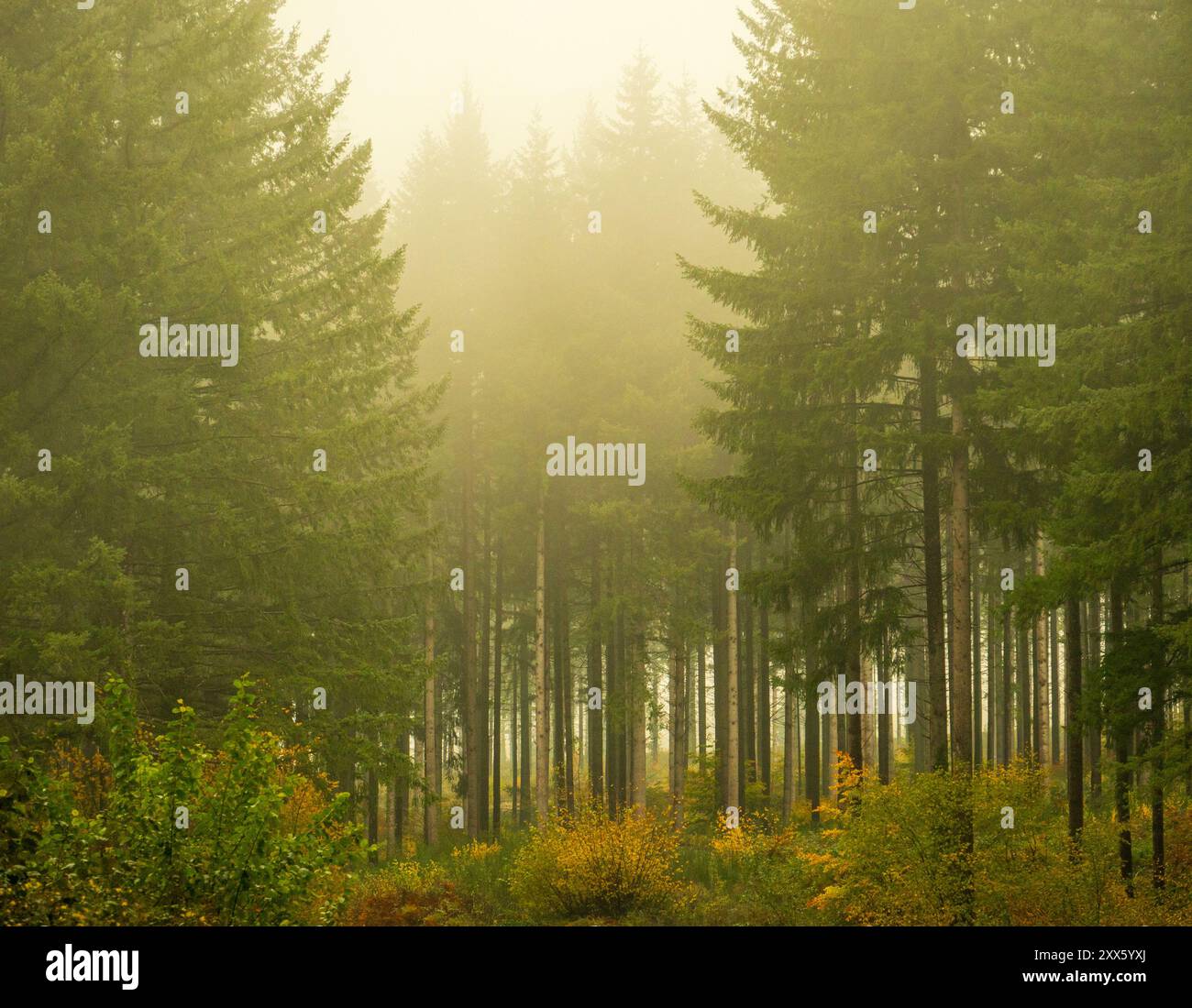 Autumn map hi-res stock photography and images - Alamy