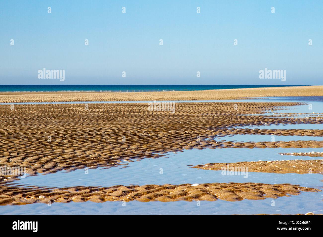 Beautiful seascape of a beach with small ponds in the sand and an ocean ...