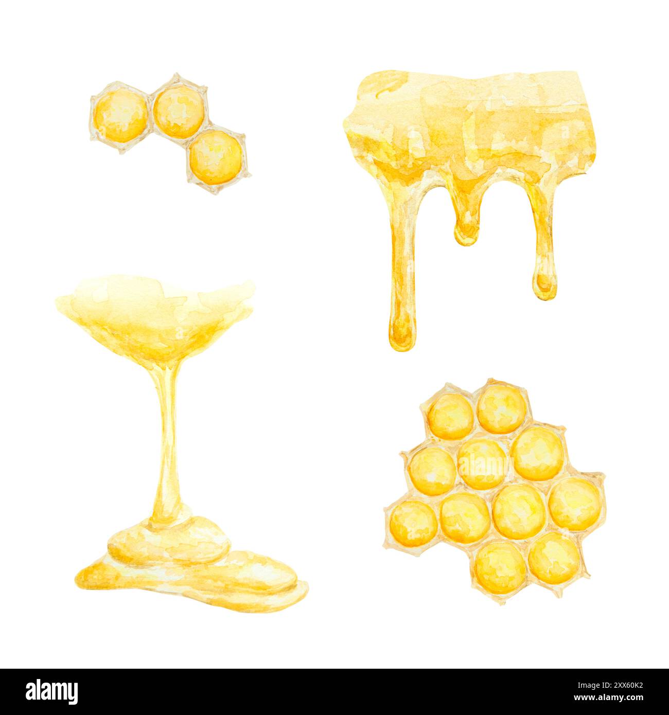 Sweet honey. Watercolor hand drawn illustration. Isolated, cut out clip ...