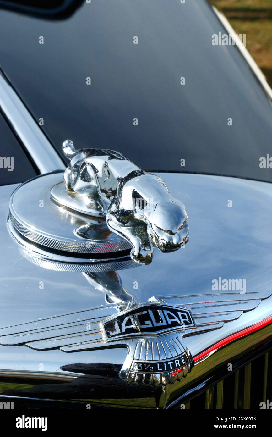 vintage classic chrome car badge leaping jaguar mascot jaguar 3.5 litre ...