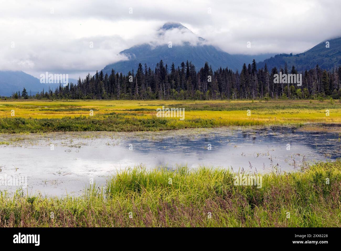 Cloud-covered Mount Iliamna in the summer at Brown Bear Bay - Chinitna ...