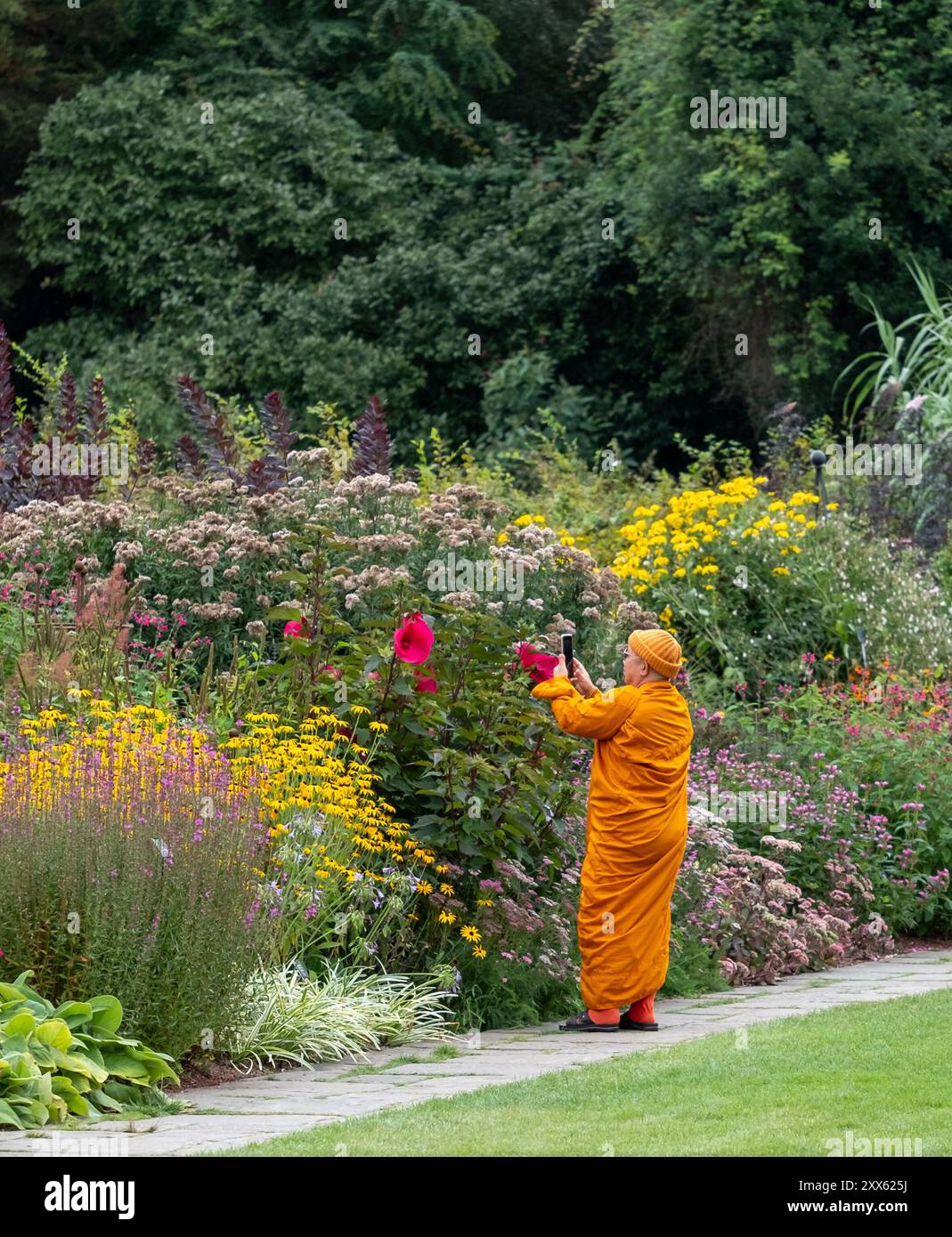Buddhist monk wearing traditional orange robes photographs a colourful ...