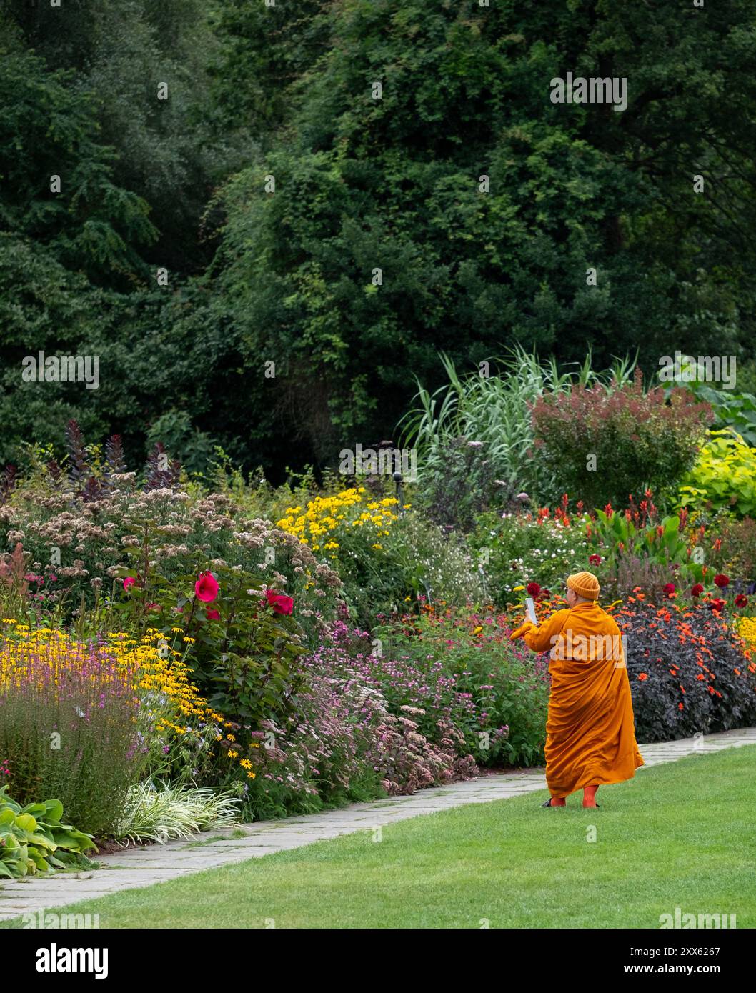 Buddhist monk wearing traditional orange robes photographs a colourful ...