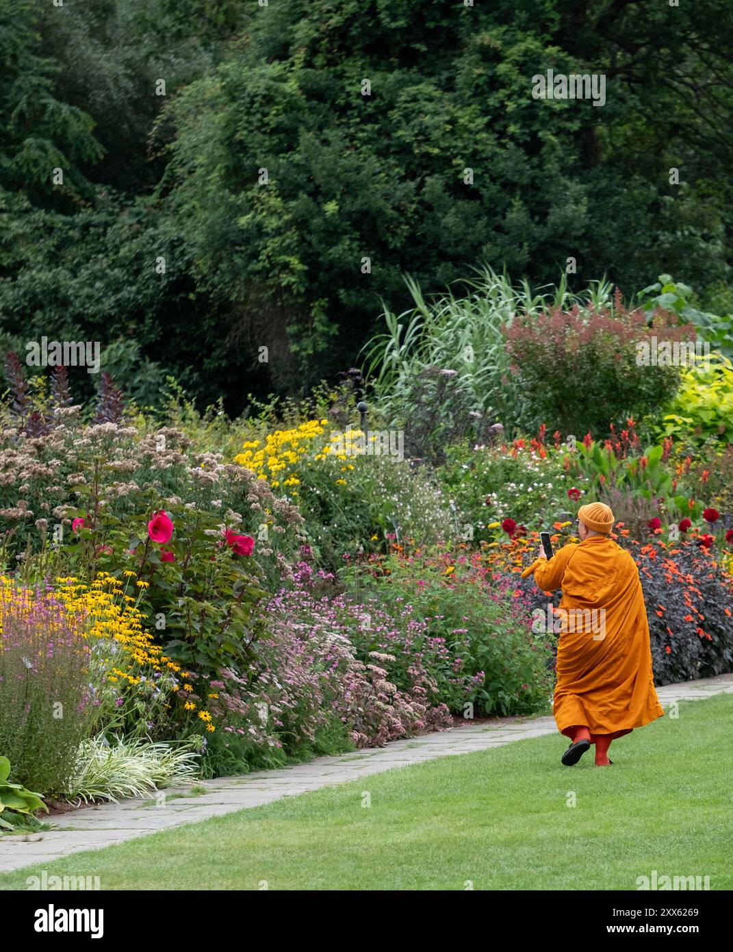 Buddhist monk wearing traditional orange robes photographs a colourful ...