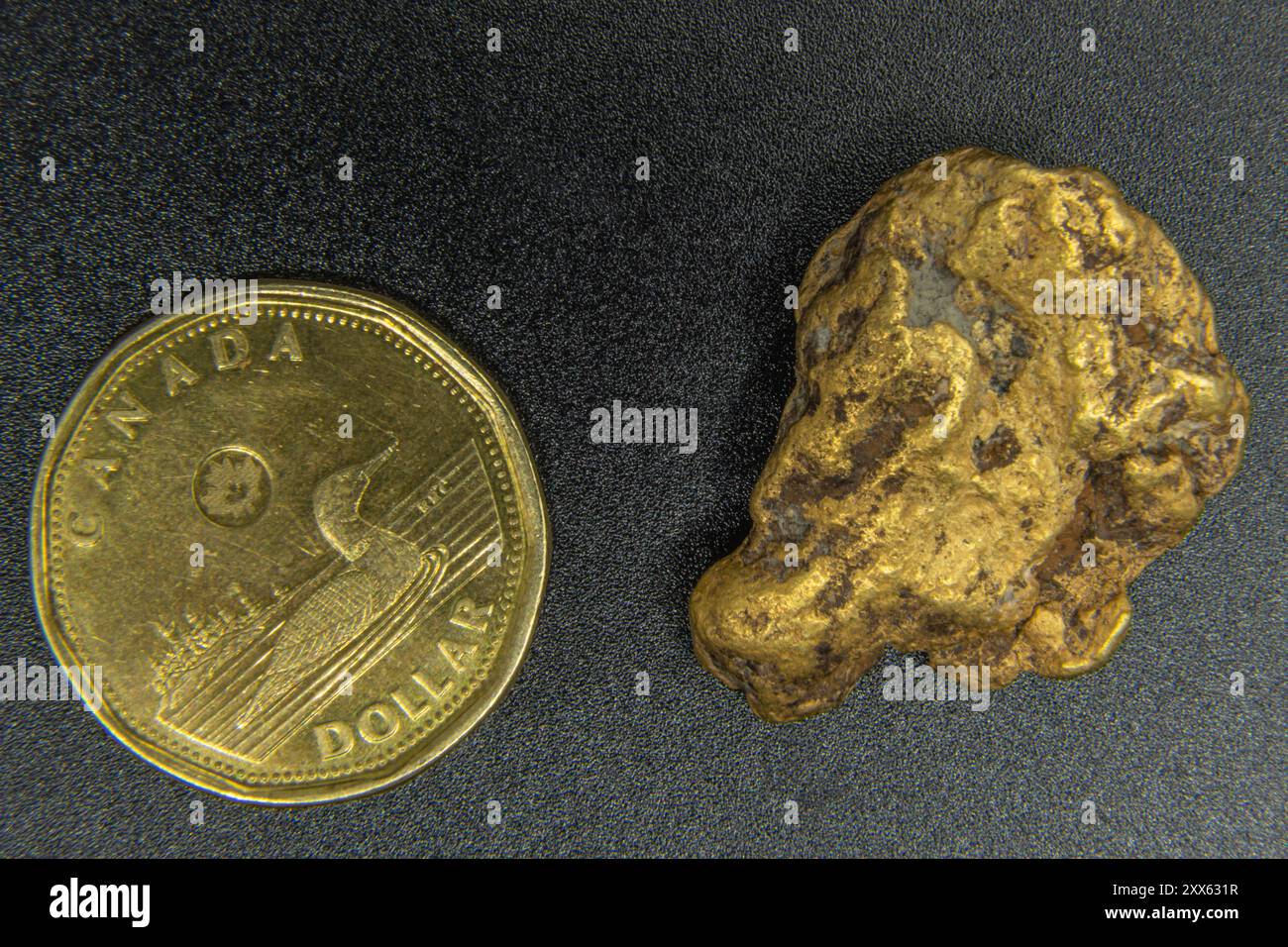 Real gold nuggets with black background taken in photography studio ...