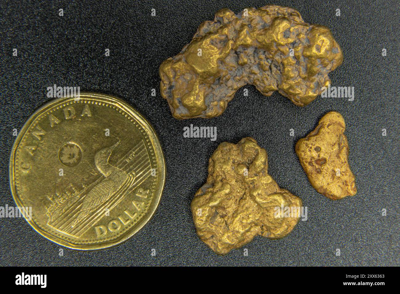 Real gold nuggets with black background taken in photography studio ...