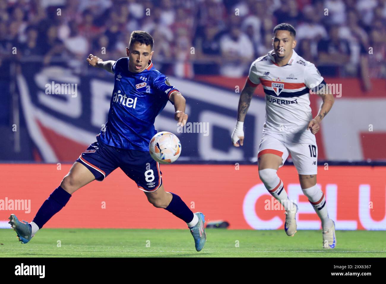 Sao Paulo, Brazil. 22nd Aug, 2024. SP - SAO PAULO - 08/22/2024 - LIBERTADORES CUP 2024, SAO ...