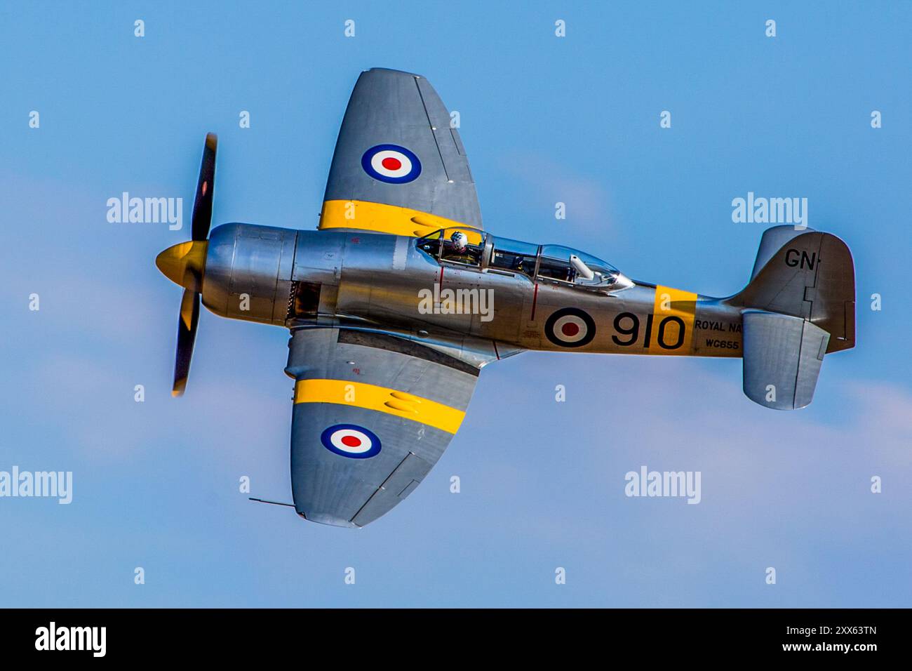 Hawker Sea Fury flying at Duxford Airshow Stock Photo - Alamy