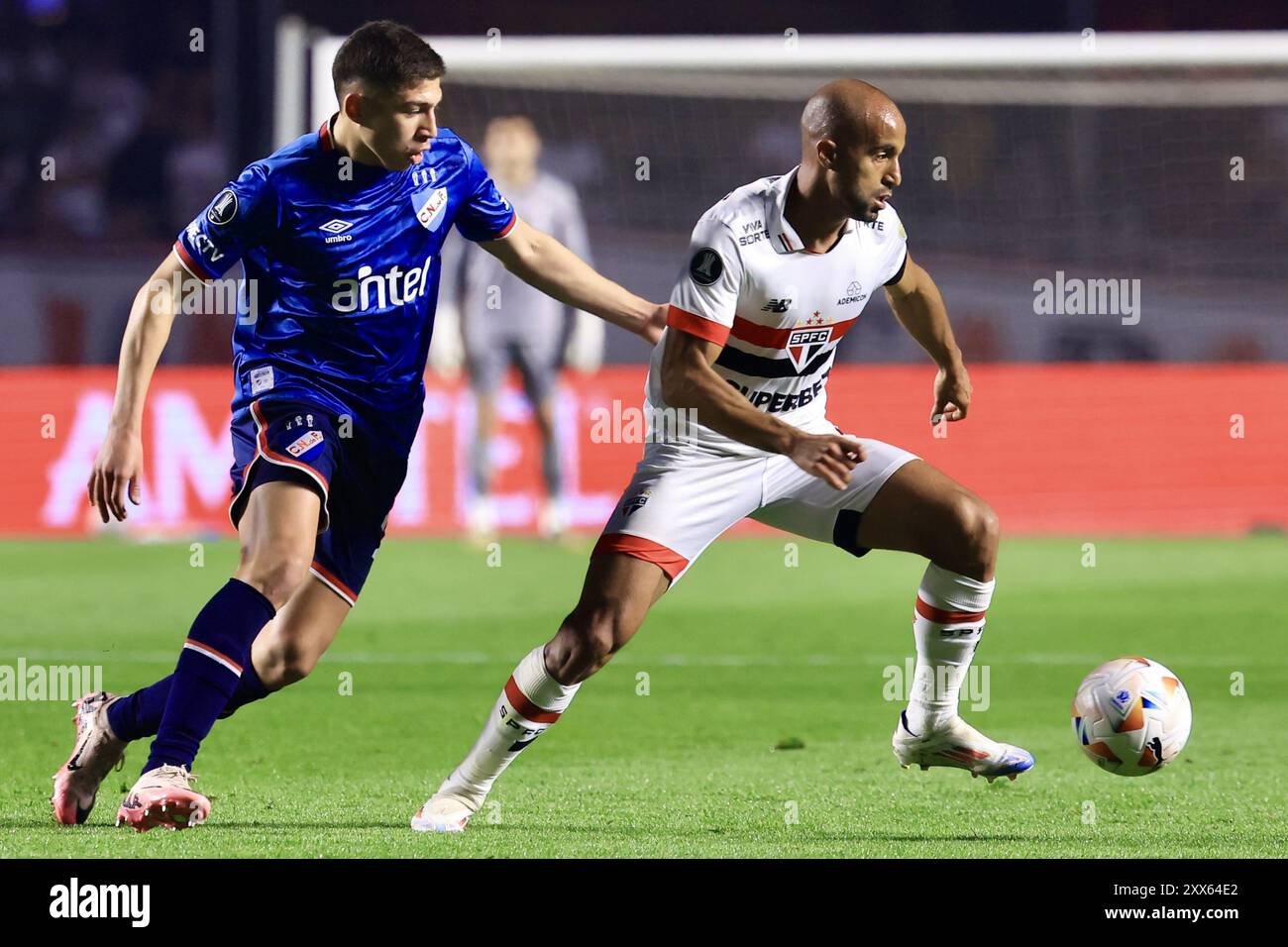 Sao Paulo, Brazil. 22nd Aug, 2024. SP - SAO PAULO - 08/22/2024 - LIBERTADORES CUP 2024, SAO ...