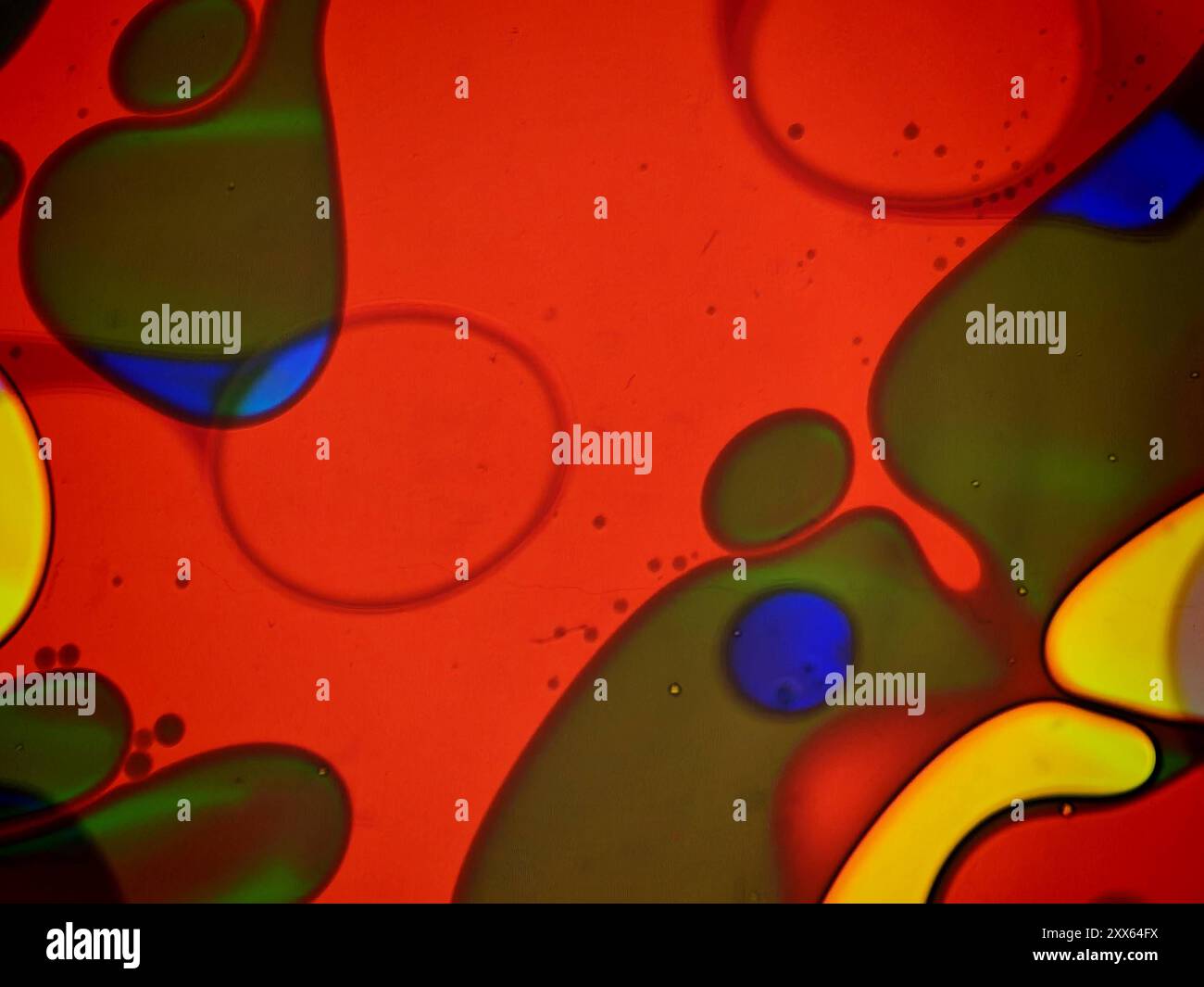 objects and shapes in different colors, colorful arrangement and design ...