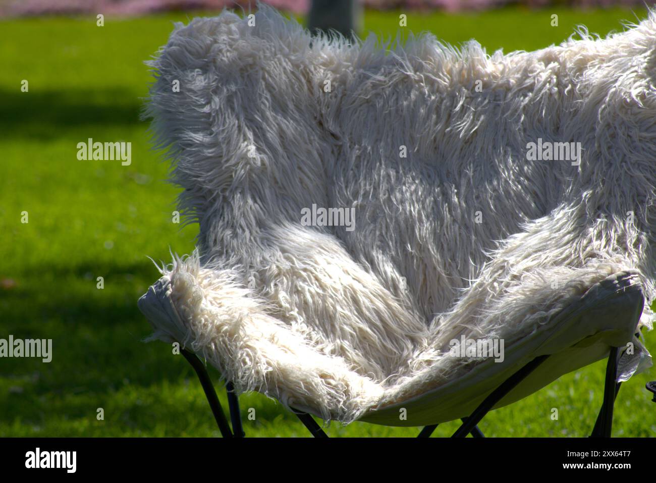 Fuzzy chair hi-res stock photography and images - Alamy