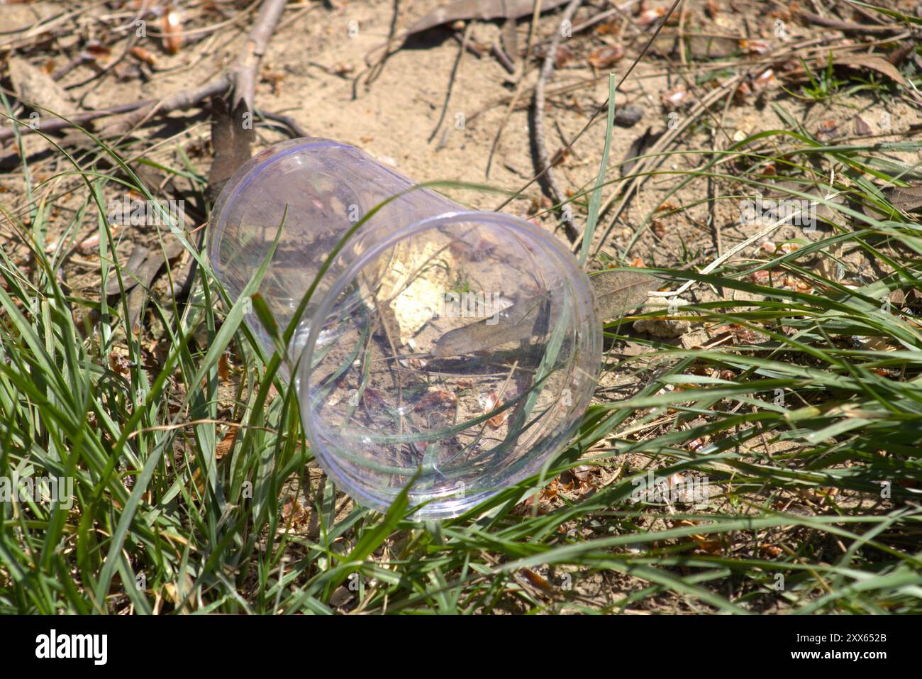 clear empty fast food cup garbage Stock Photo - Alamy