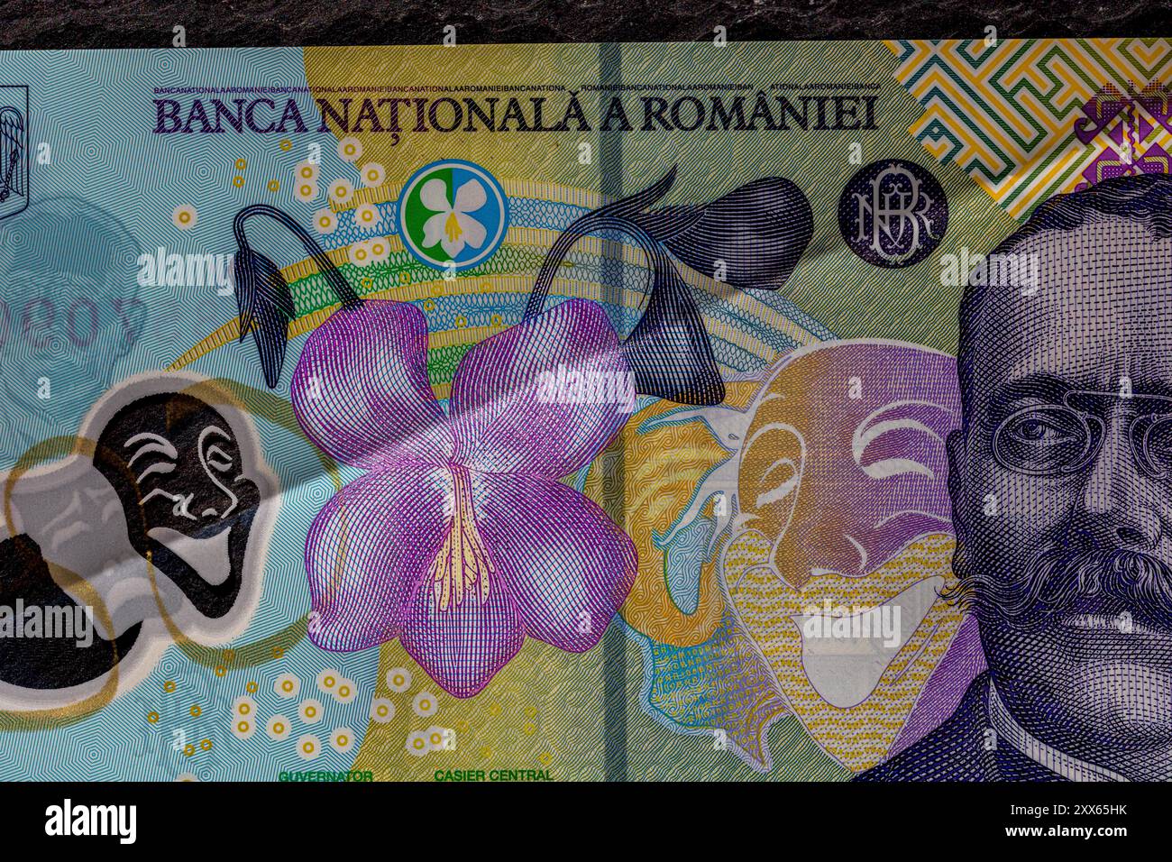 LEI money banknotes, detail photo of RON. Romanian currency Stock Photo ...