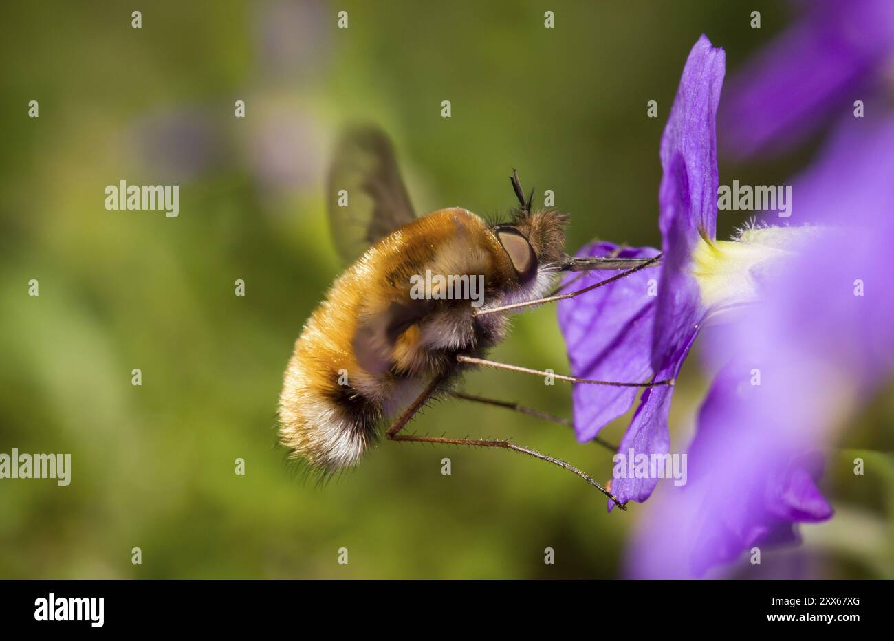 No one flying hi-res stock photography and images - Alamy