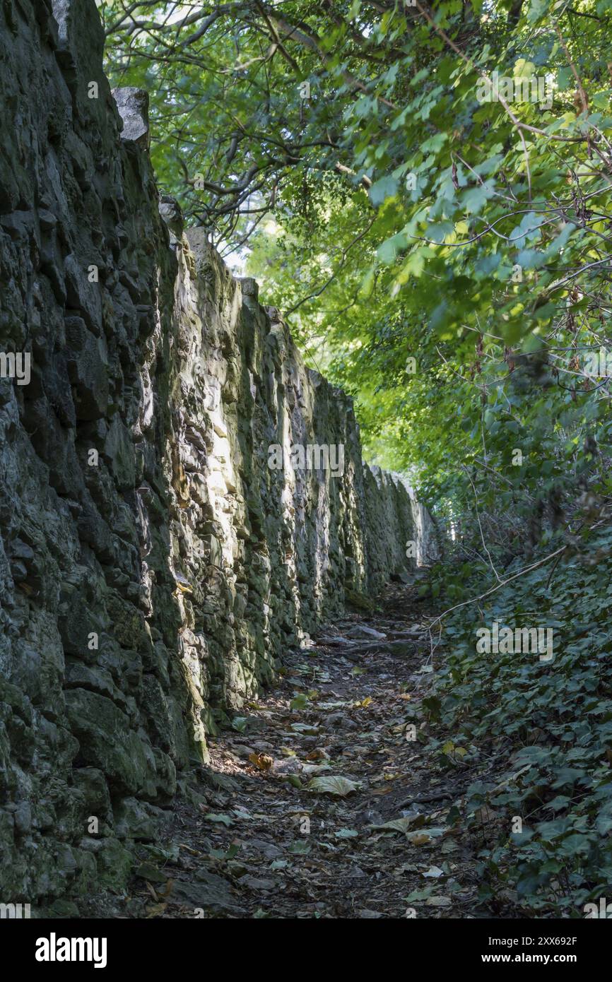 Medieval path with stone wall, Freyburg, Saxony-Anhalt, Germany, Europe ...
