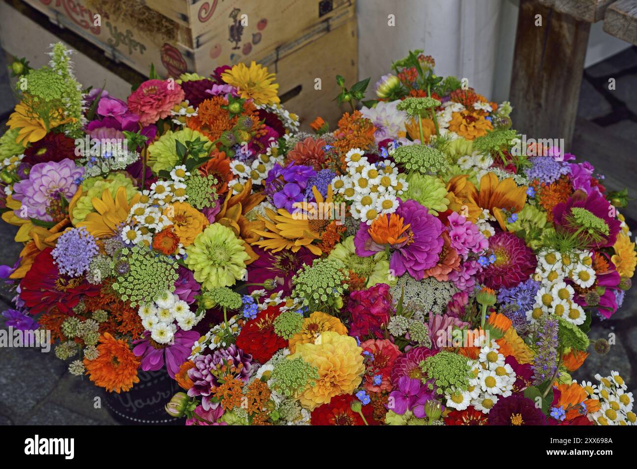Botany multi coloured bouquet hi-res stock photography and images - Alamy