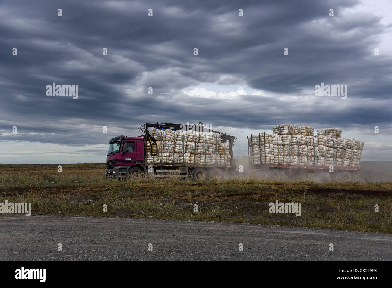Livestock lorry transport sheep hi-res stock photography and images - Alamy
