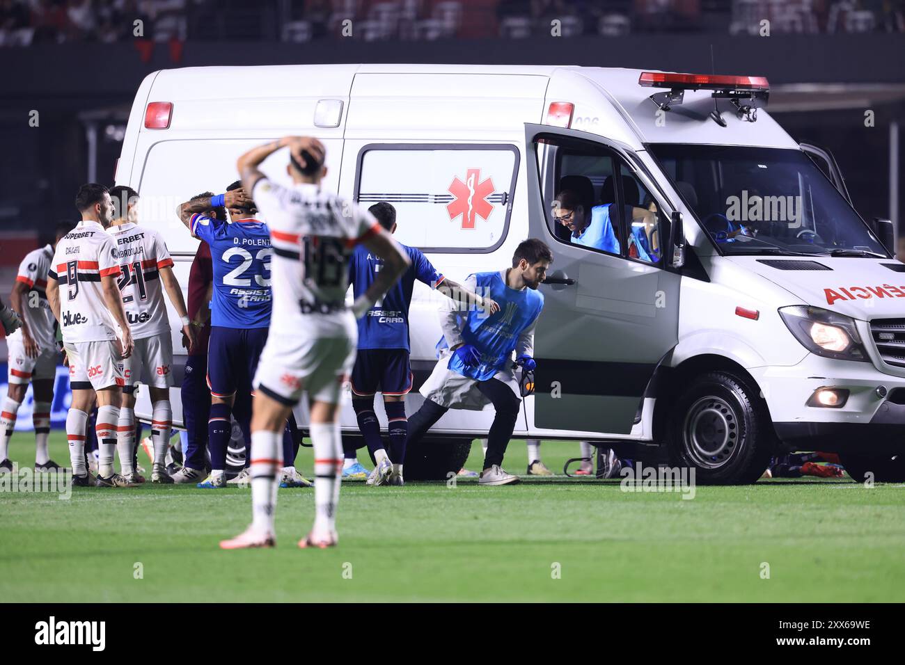 Sao Paulo, Brazil. 22nd Aug, 2024. SP - SAO PAULO - 08/22/2024 - LIBERTADORES CUP 2024, SAO ...