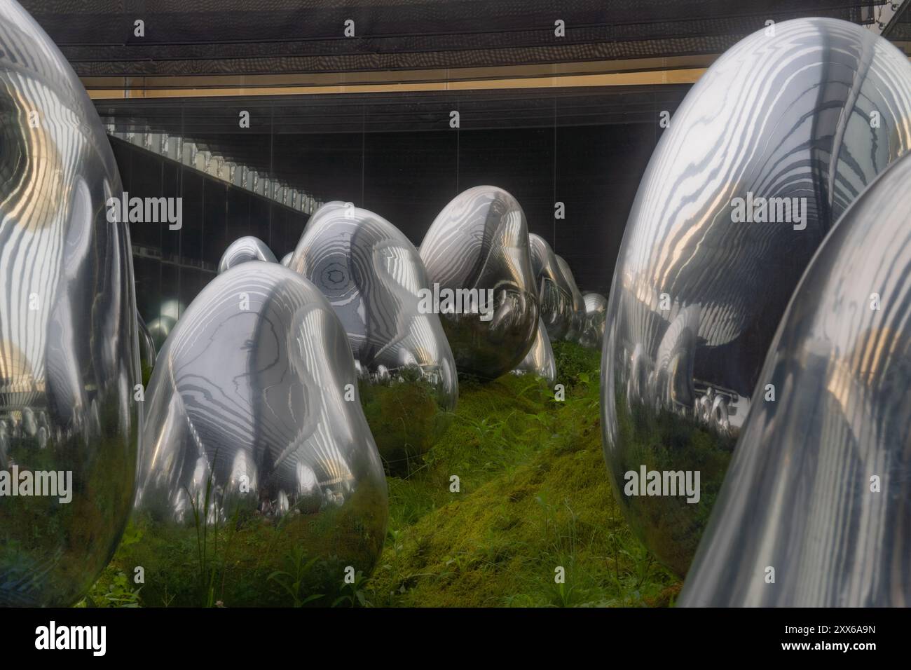 Inside of Team-Lab experience in Tokyo Japan Stock Photo - Alamy