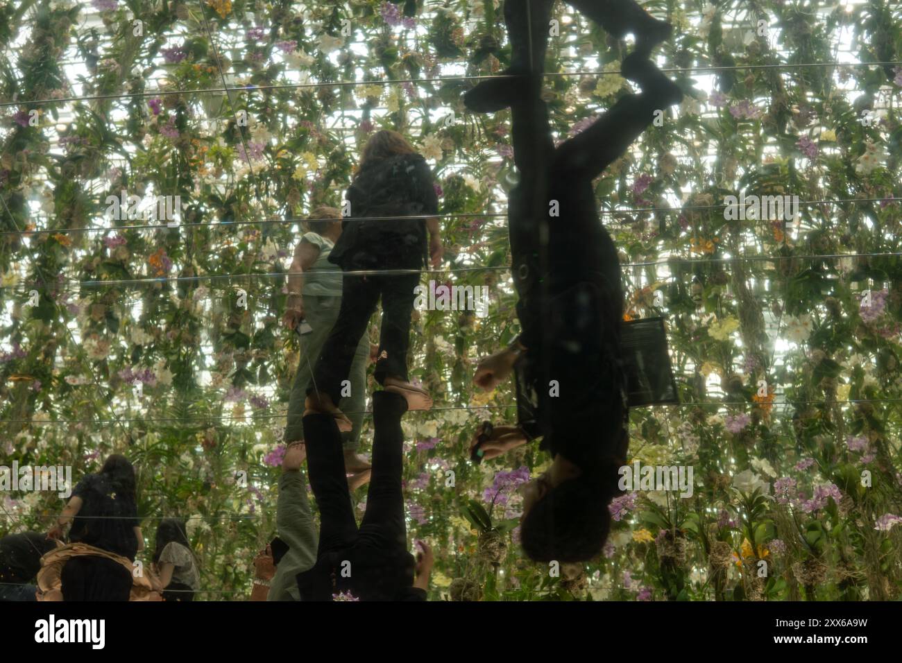 Inside of Team-Lab experience in Tokyo Japan Stock Photo - Alamy