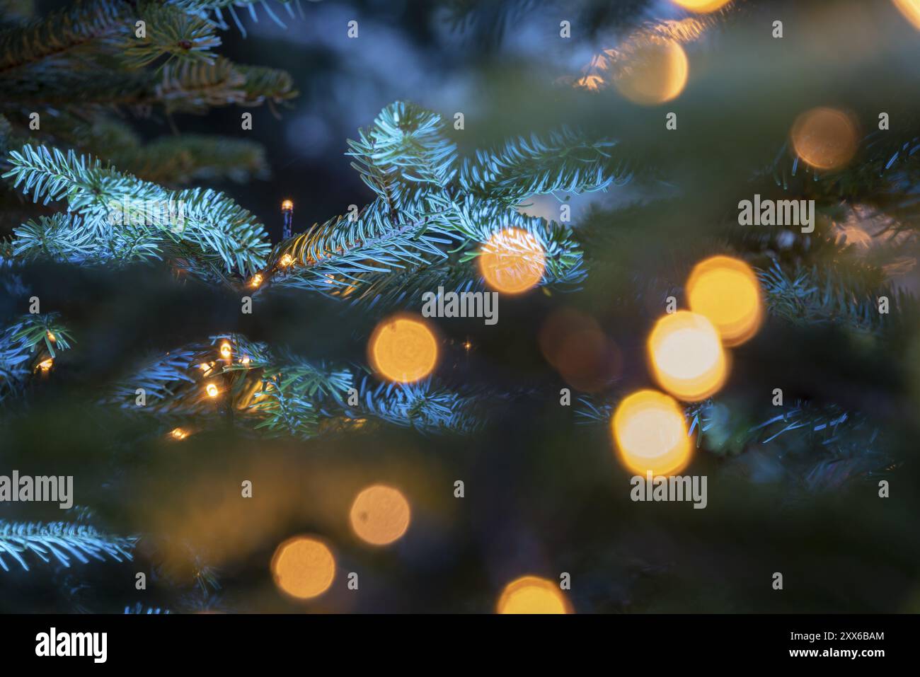Christmas tree, fairy lights, fir greenery, Germany, Europe Stock Photo ...