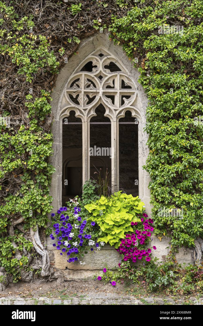 Tracery, Gothic-style windows, Bebenhausen Monastery and Palace, former ...
