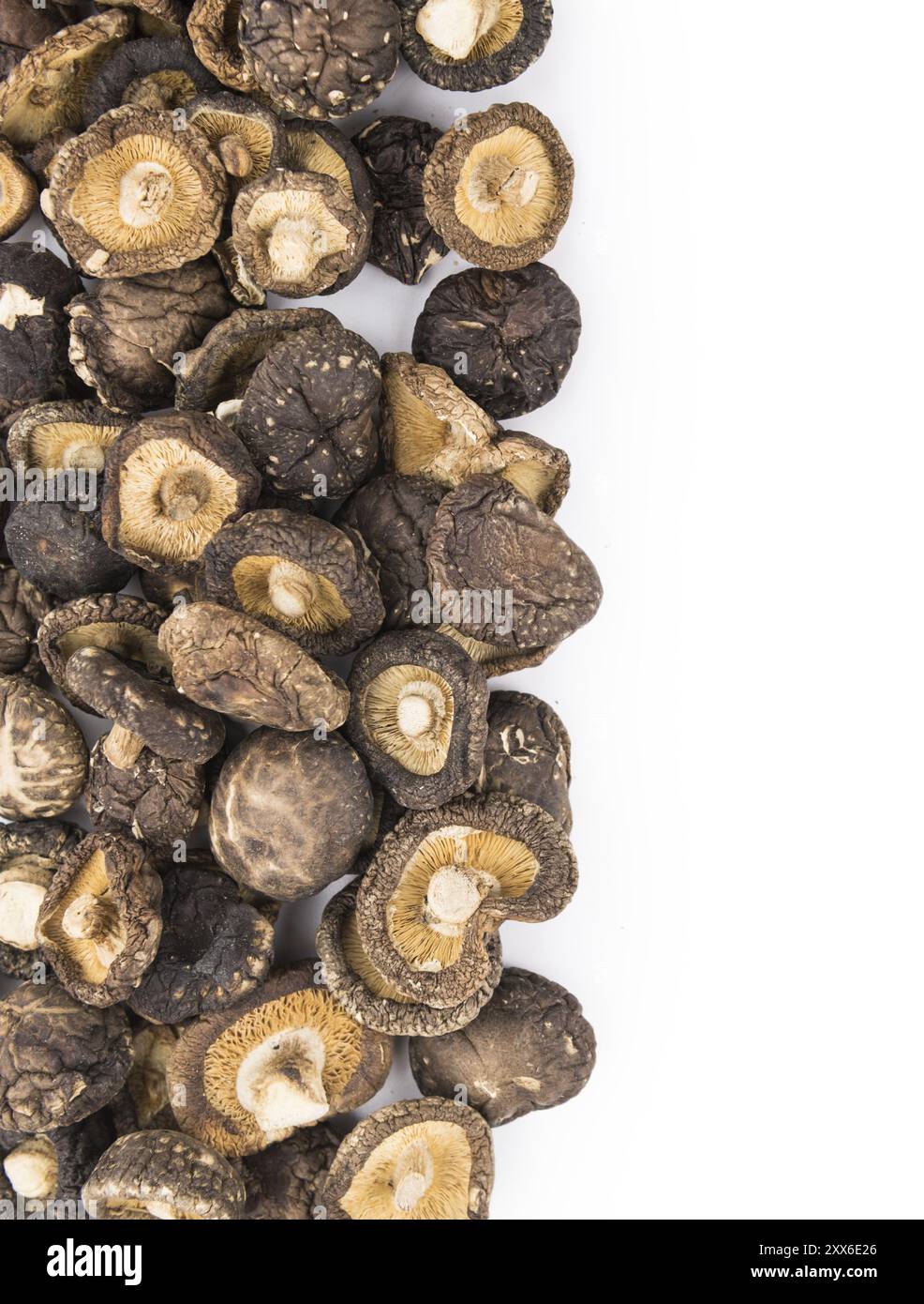 Portion of Dried Shiitake as detailed close-up shot isolated on white ...