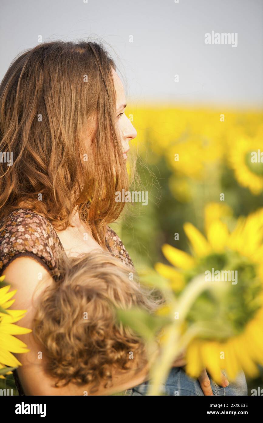 Young woman breastfeeding her baby in spring sunflower field Stock ...