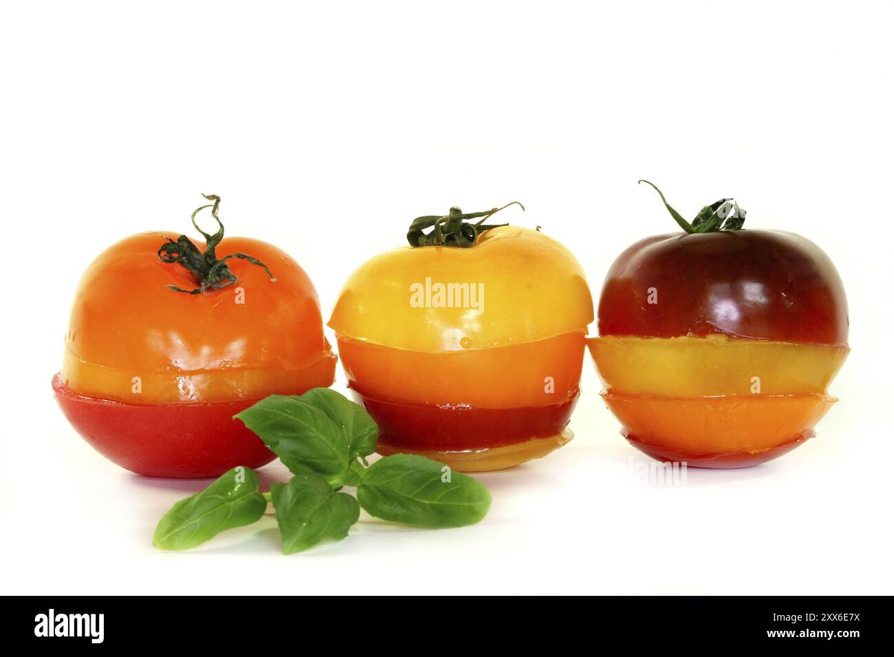 Tomatoes of different colours layered with basil on a white background ...