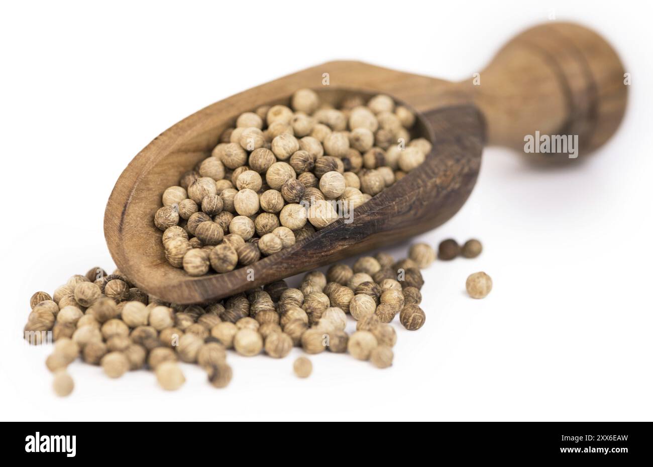 Portion of White Pepper as detailed close-up shot isolated on white ...