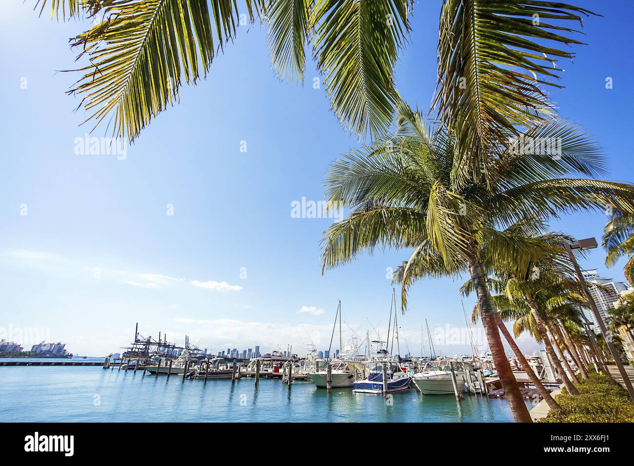 Yacht harbor in Miami Florida USA Stock Photo - Alamy