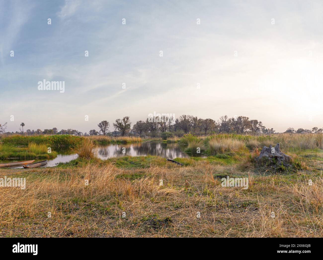 Adventure boat trip in a traditional Makoro at the Okavango Delta ...