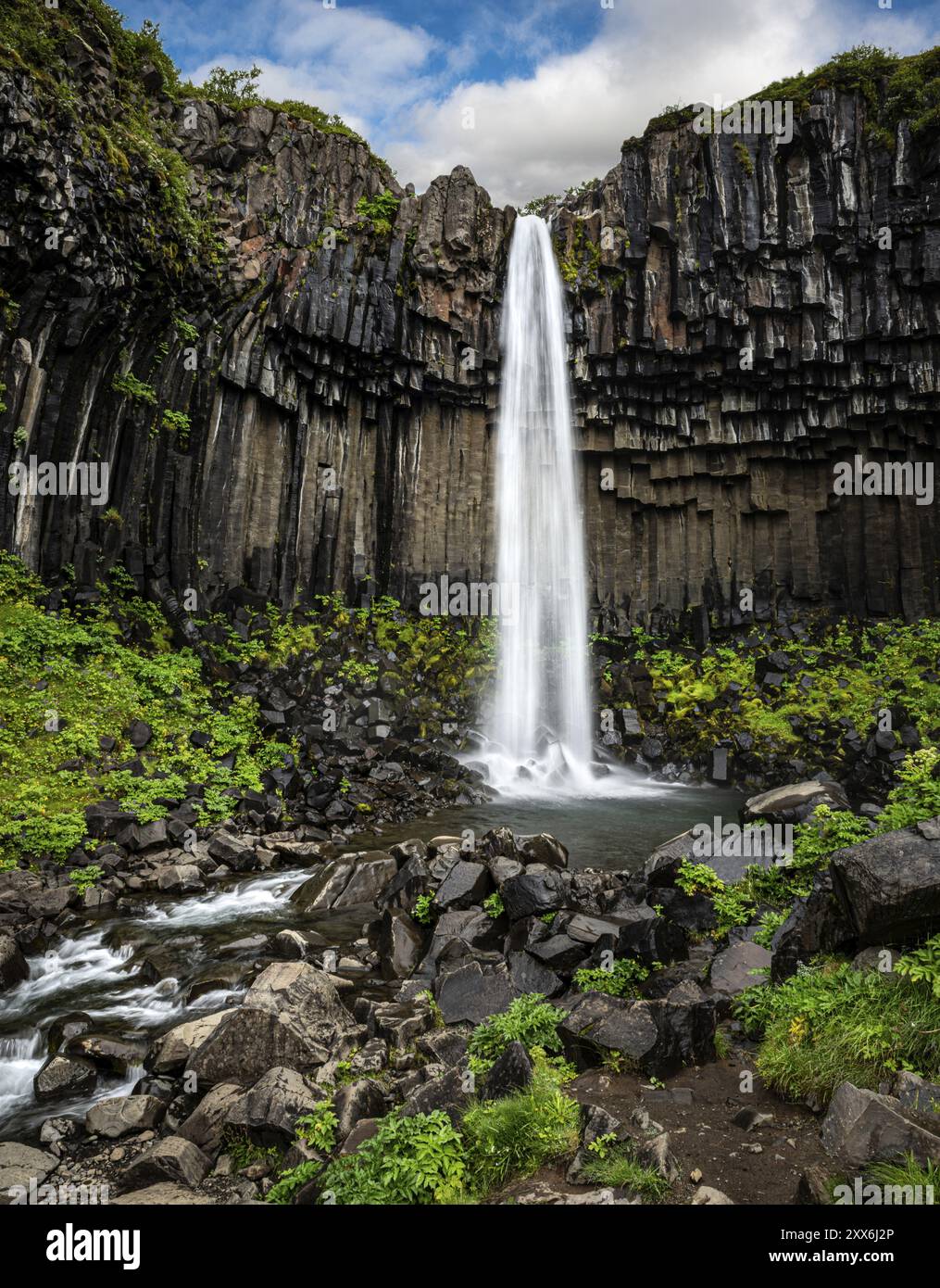 Svartifoss waterfall surrounded by dark basalt columns in Iceland Stock ...