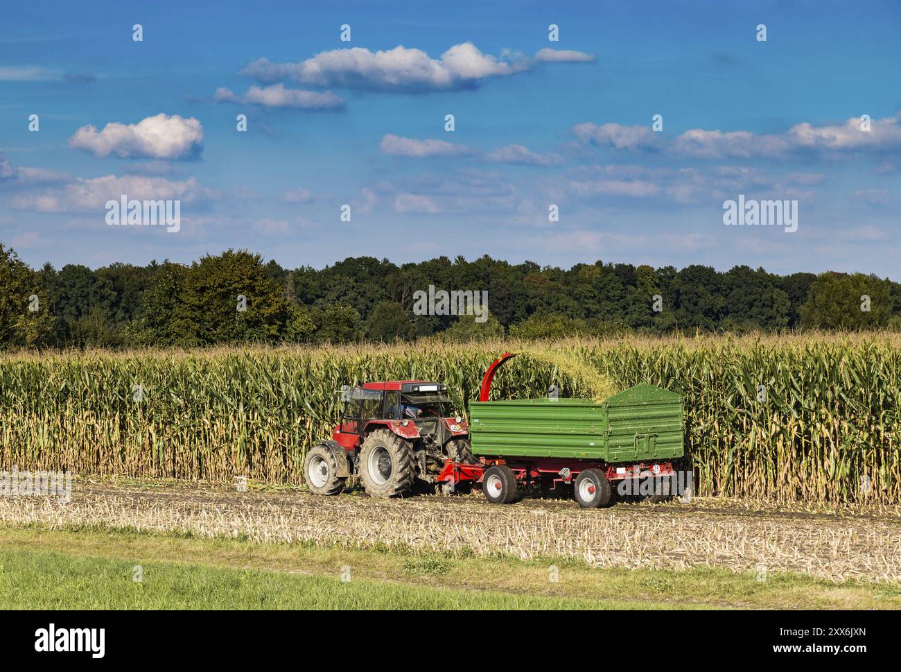 Corn harvest tractor working in field hi-res stock photography and ...
