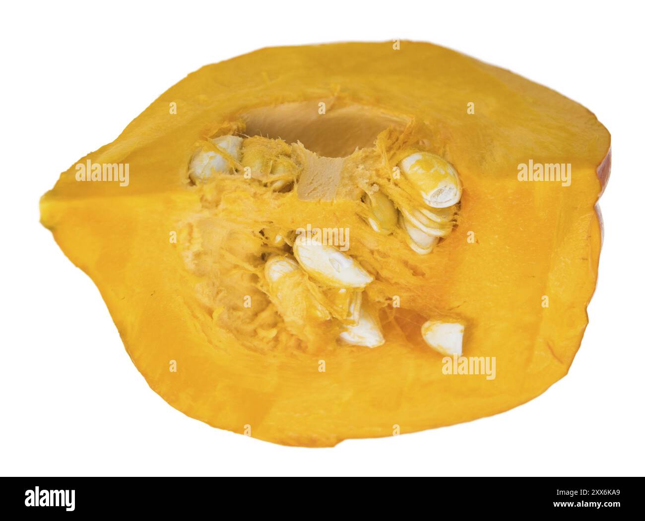 Close up view halloween Cut Out Stock Images & Pictures - Alamy