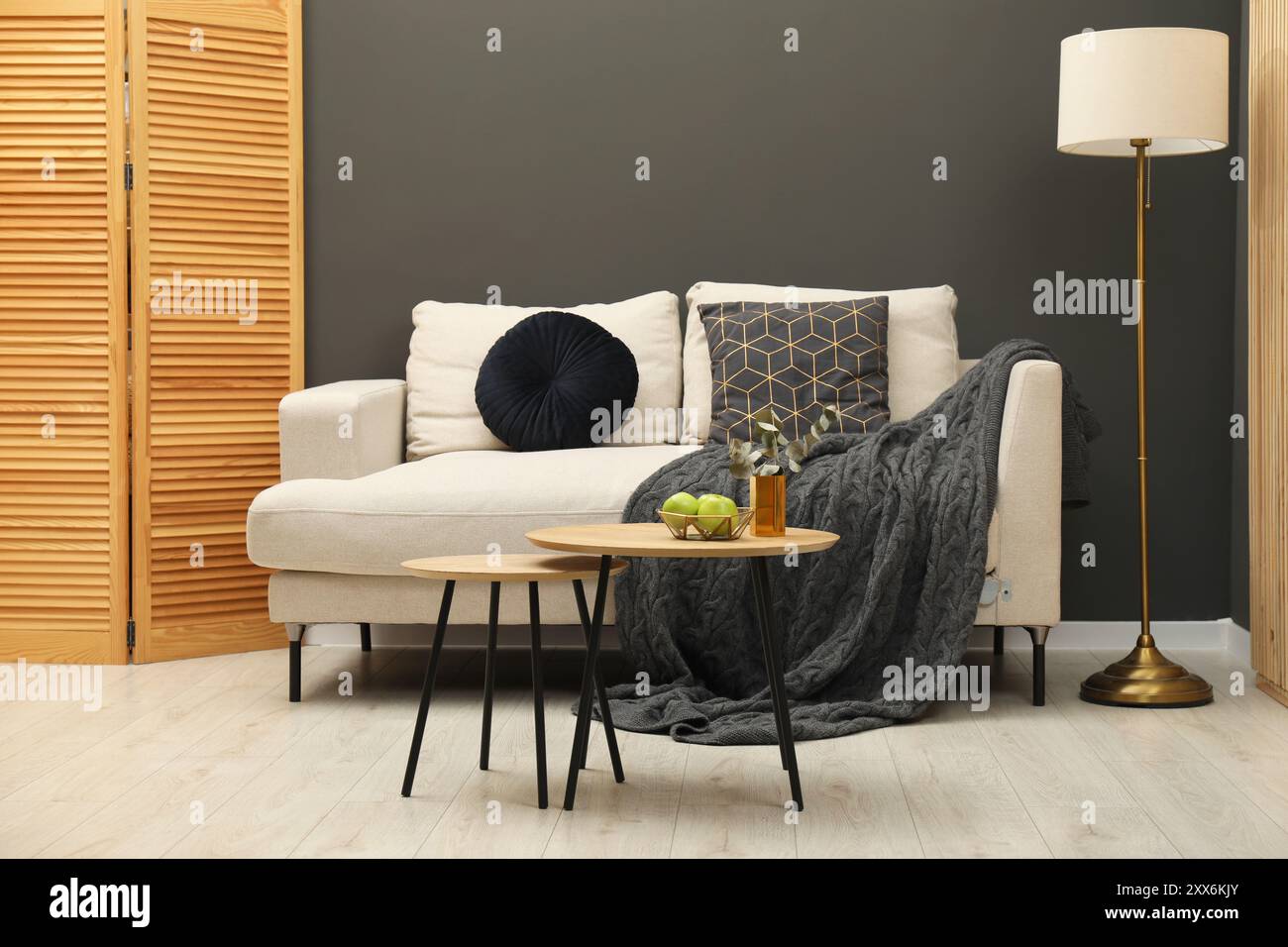 Comfortable sofa with plaid, coffee table and folding screen in stylish ...