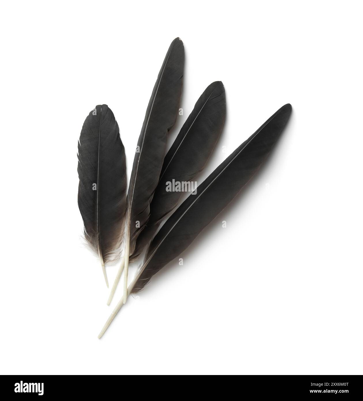 Top view weightless soft Cut Out Stock Images & Pictures - Alamy