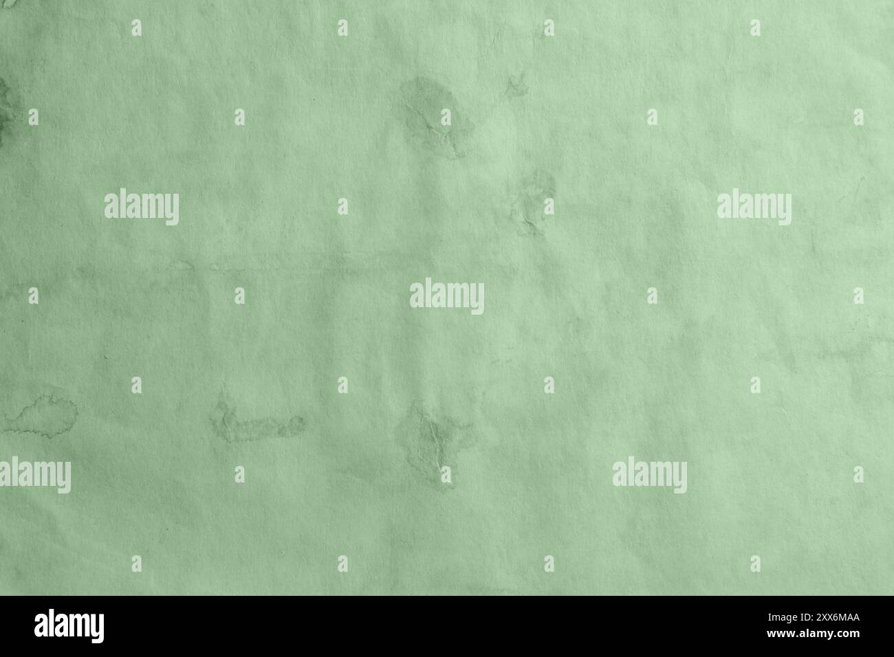 Green sage pastel color texture hi-res stock photography and images - Alamy