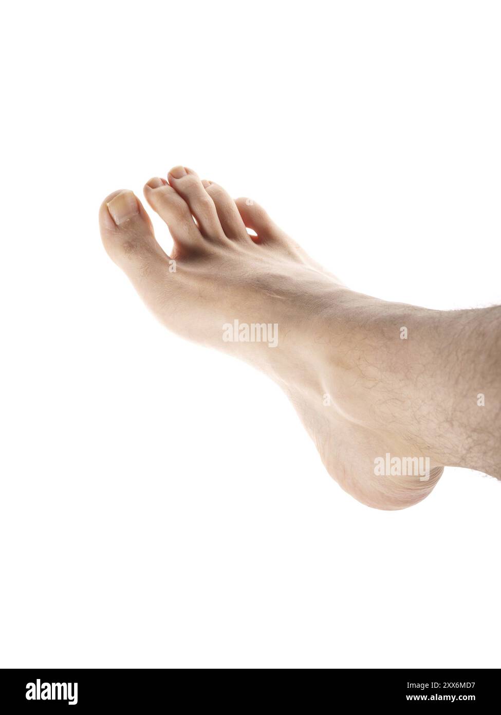 Right male foot isolated towards white background, with hair on leg ...